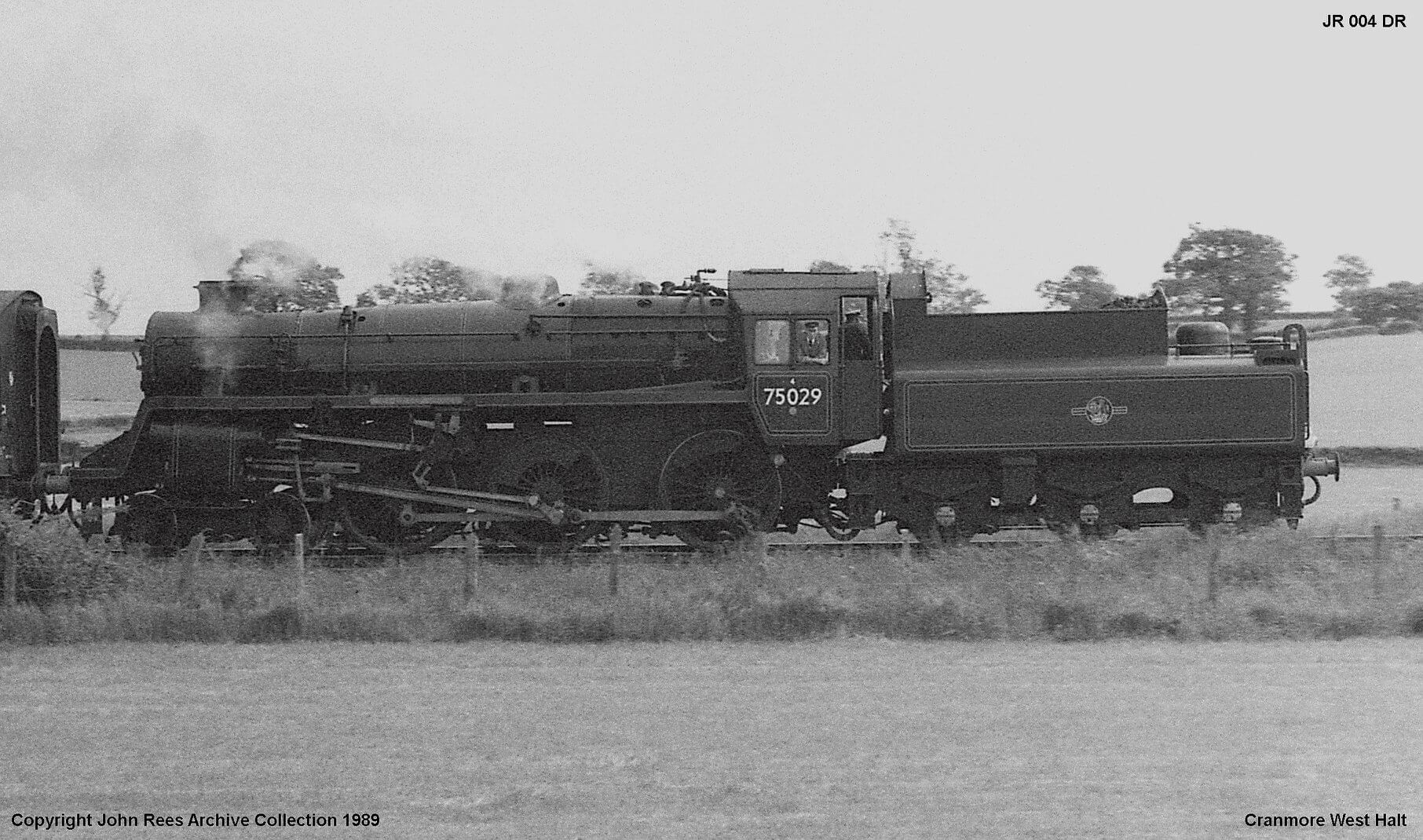 John Rees Photographic Archive