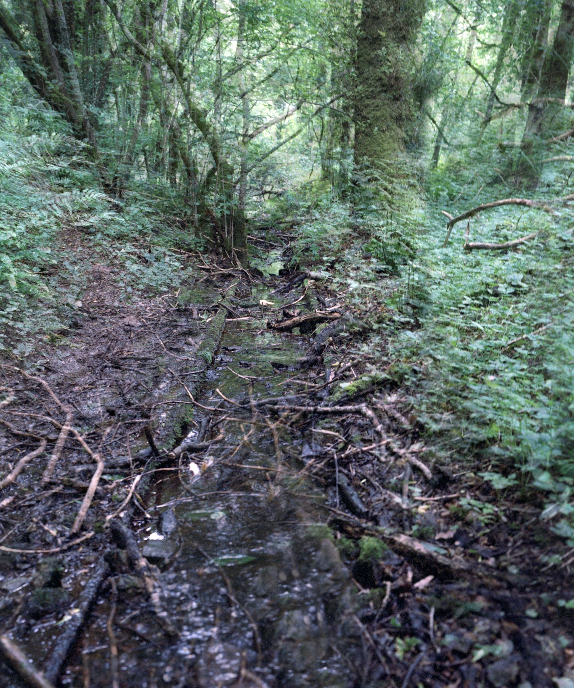 Relics of the old quarry line at the ESR - by Nick Waton